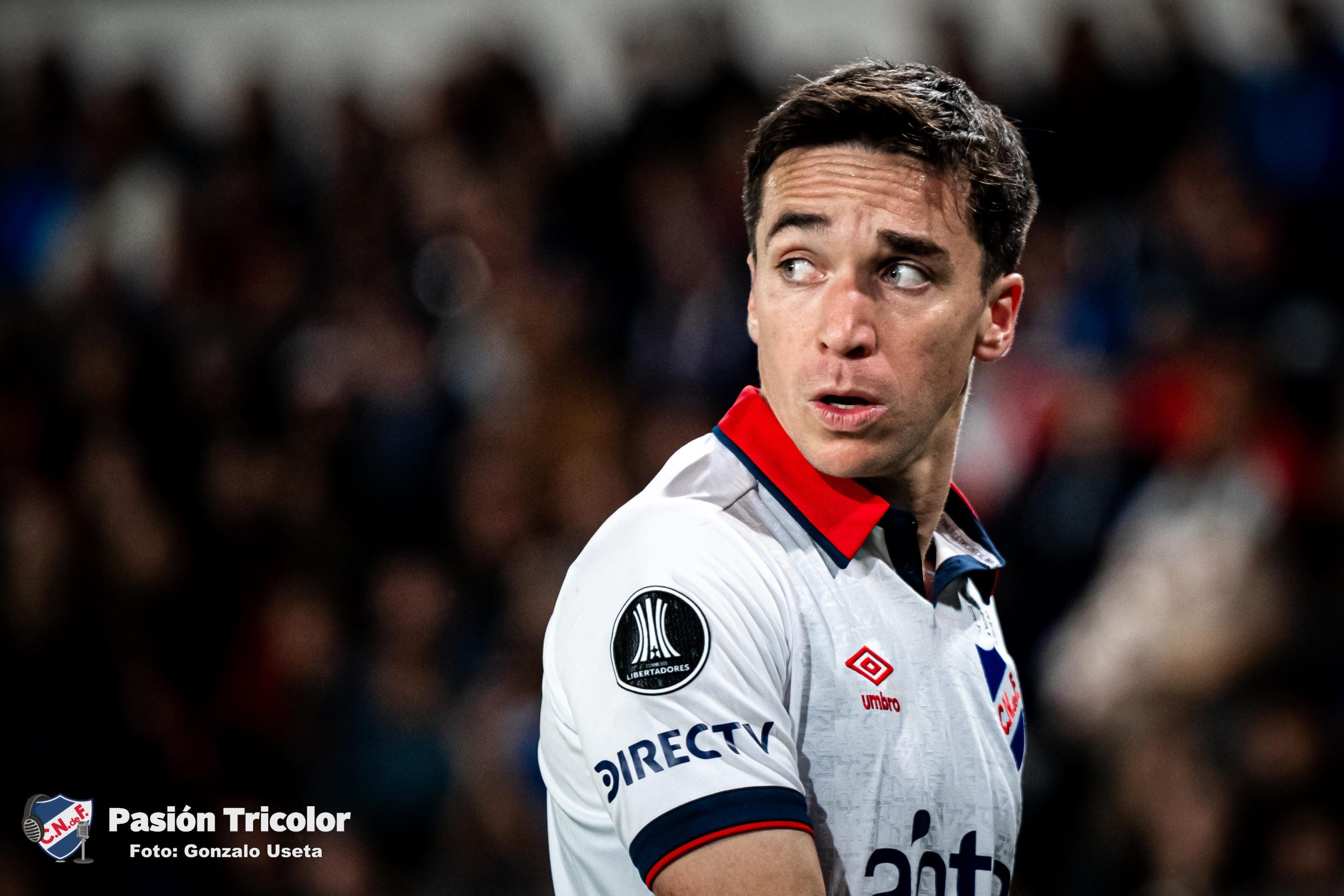 Panel | Pasion Tricolor